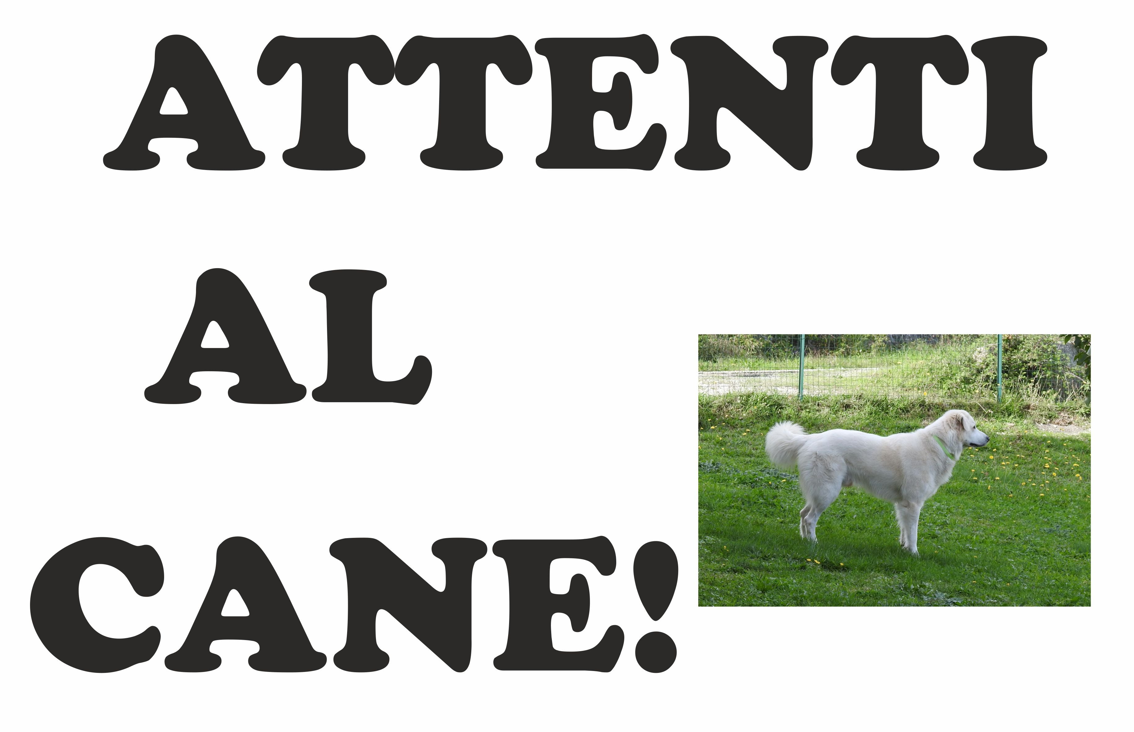 GLOBAL CARTELLO SEGNALETICO - ATTENTI AL CANE CON FOTO PERSONALIZZATA ...