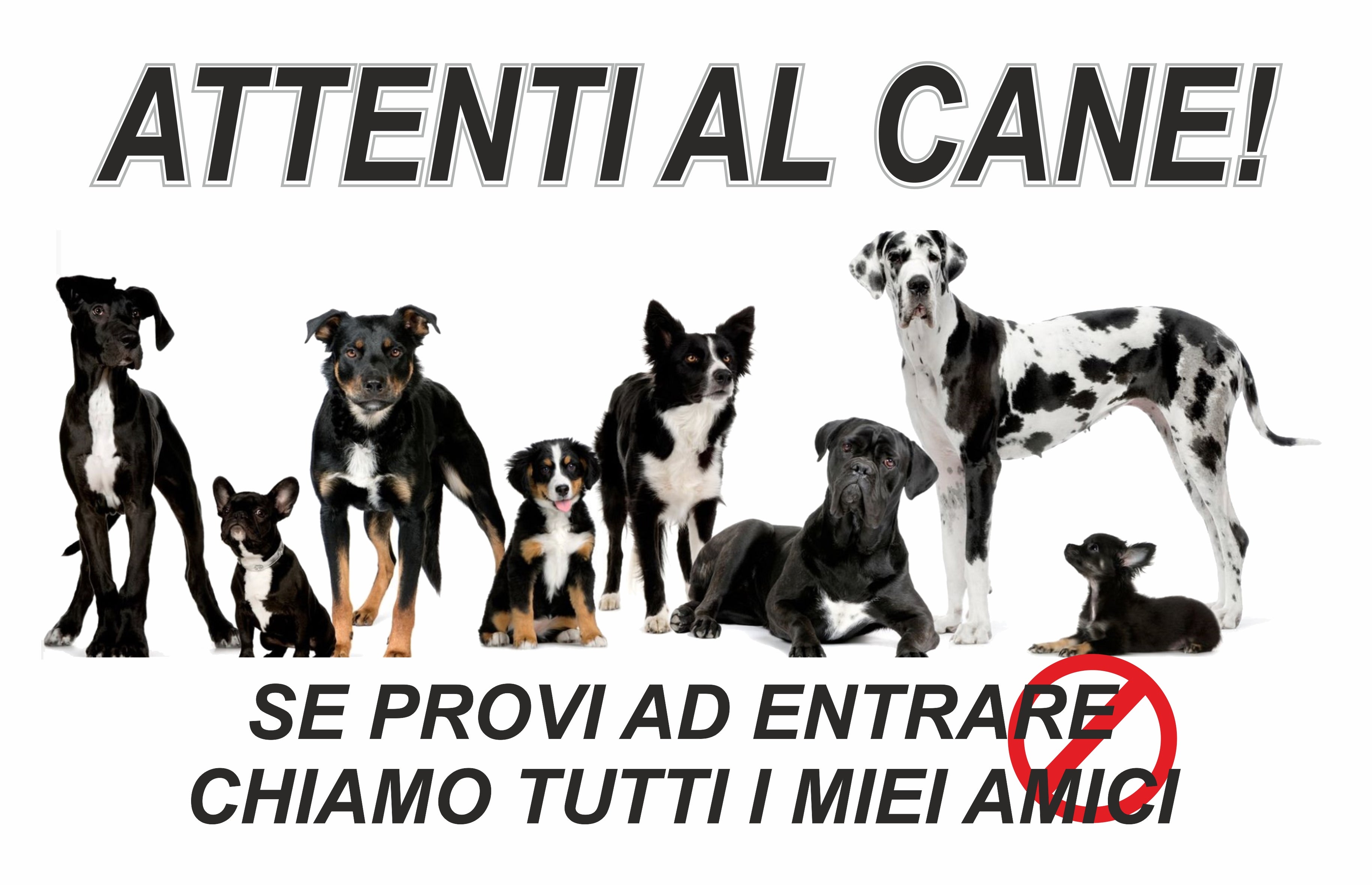 GLOBAL CARTELLO SEGNALETICO - ATTENTI AL CANE, SE PROVI AD ENTRARE CHI ...