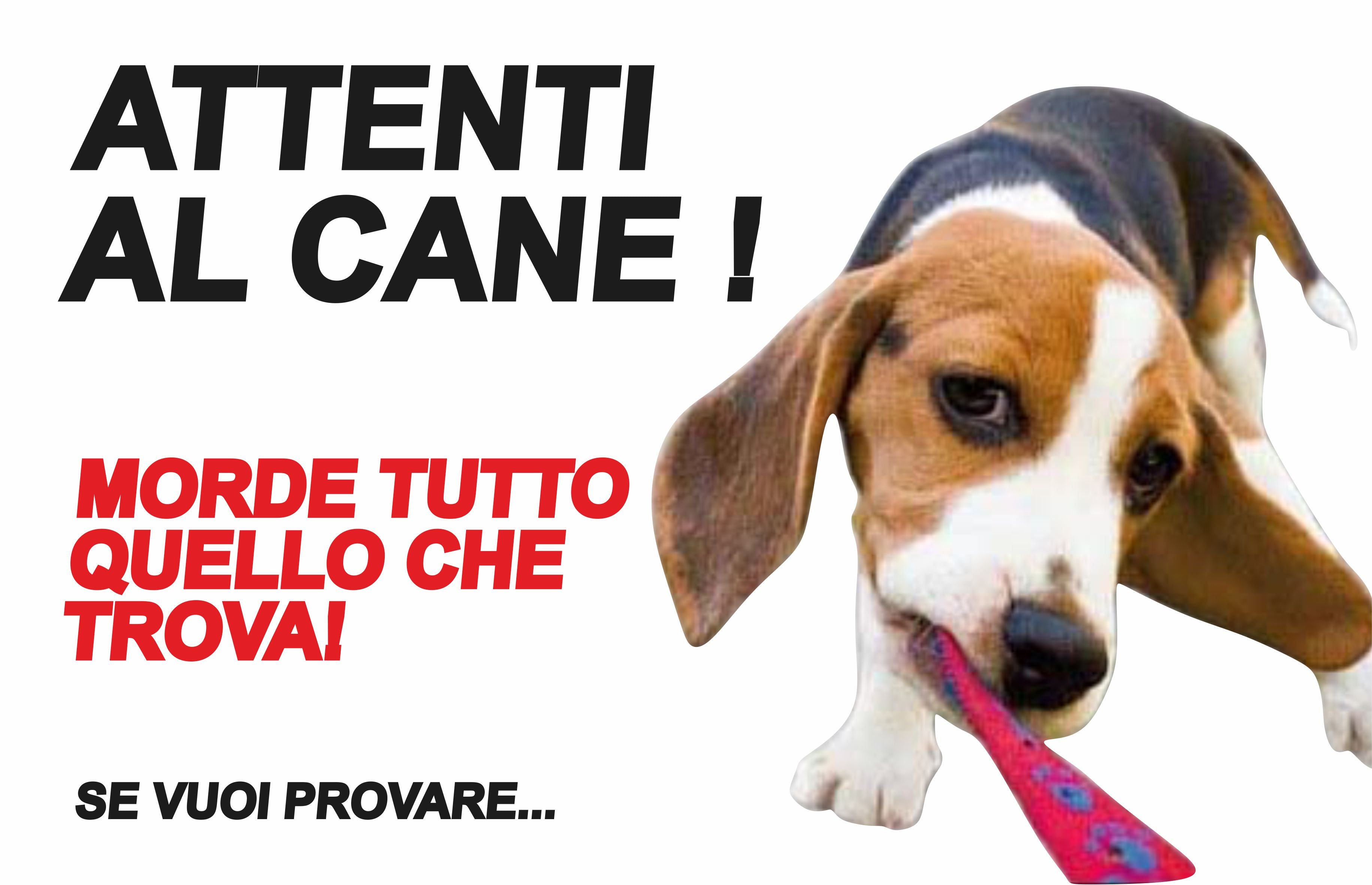 GLOBAL CARTELLO SEGNALETICO - attenti al cane beagle morde tutto quell ...